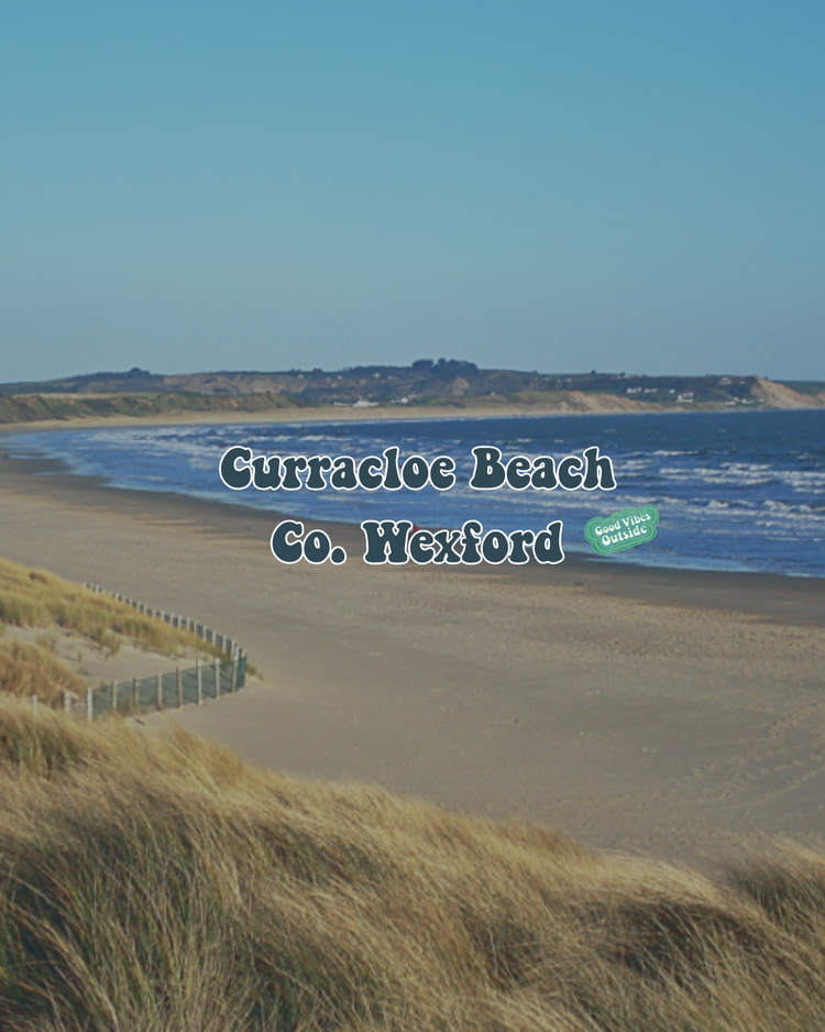 Guide 7: Curracloe Beach, Co. Wexford – Bleubird
